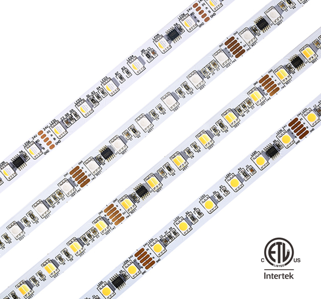 DS126004-LED Strip RGB/RGBW 5050 60LEDs/m 10Pixels Built in DMX IC ...