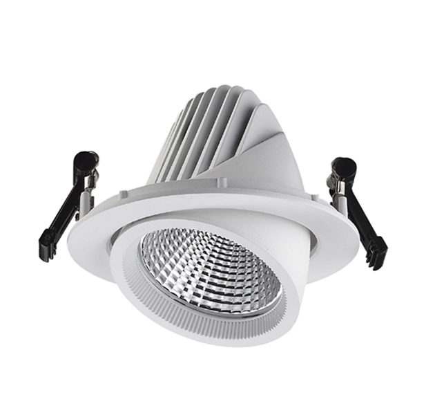 LED Down light Static White Φ 165 | Colordreamer